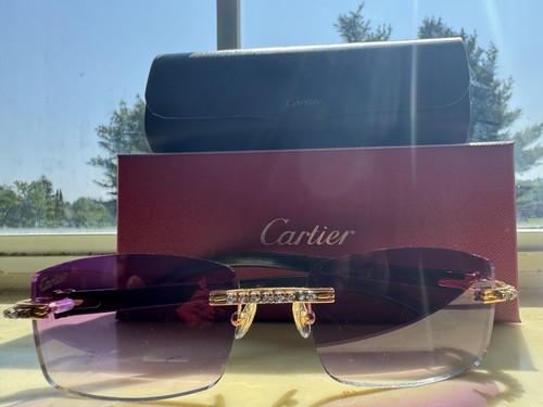 Cartier CT0286O Buffalo Sunglasses Authentic Purple Lens with ...
