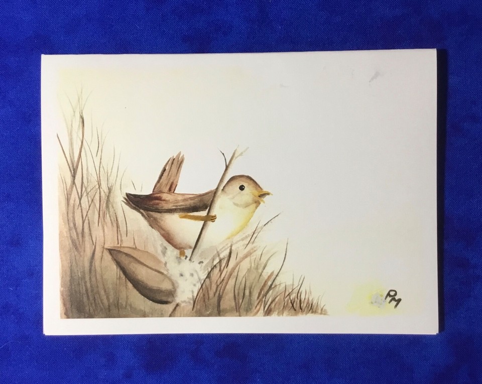 Set of 6 Original Art Bird Notecards, Handpainted Notecrds, Bird ...
