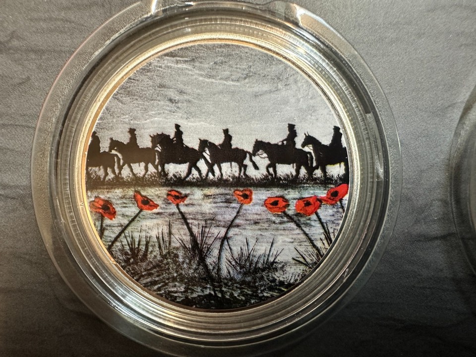 SSAFA, The War Poppy Collection, Coloured Medal Set in Album | eBay UK