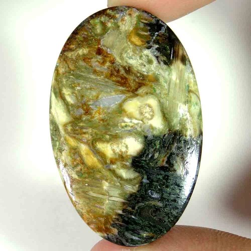 40.00Cts. 28X46X4mm. 100% Naturel Haut Créateur Palmier Racine Agate ...