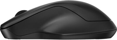 HP 255 Dual Wireless Mouse | eBay
