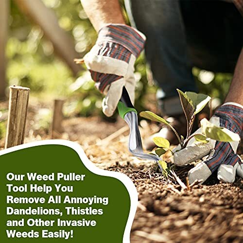 Hand Weeder for Gardening-Manual Root Lifter Weed Puller Garden Weeding ...