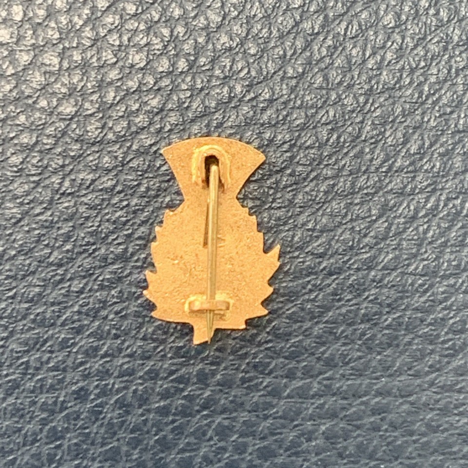 Vintage Scottish Co Operative Women's Guild Enamel Pin Badge Brooch ...