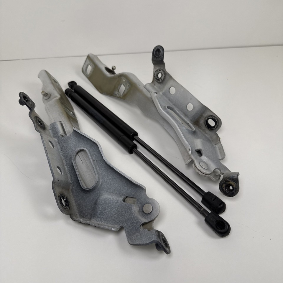 2015-2020 FORD F150 OEM FRONT RIGHT & LEFT HOOD HINGE PAIR | WHITE YZ ...