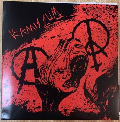 Vermis Sum- perverted prisoner Flexi 7” Punk 82 Chaos UK Riistetyt ...