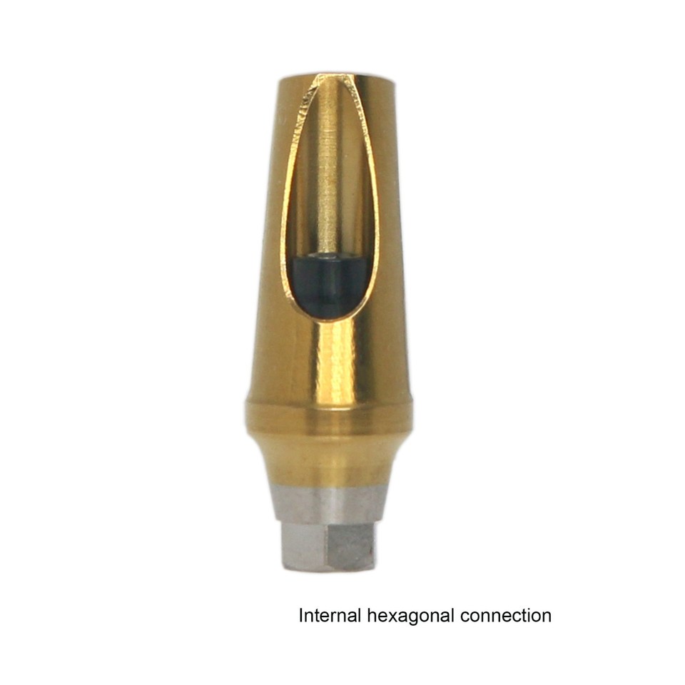US Regular Mini 17° Angled Anatomic Cemented Abutment Fit Oss Hiossen ...