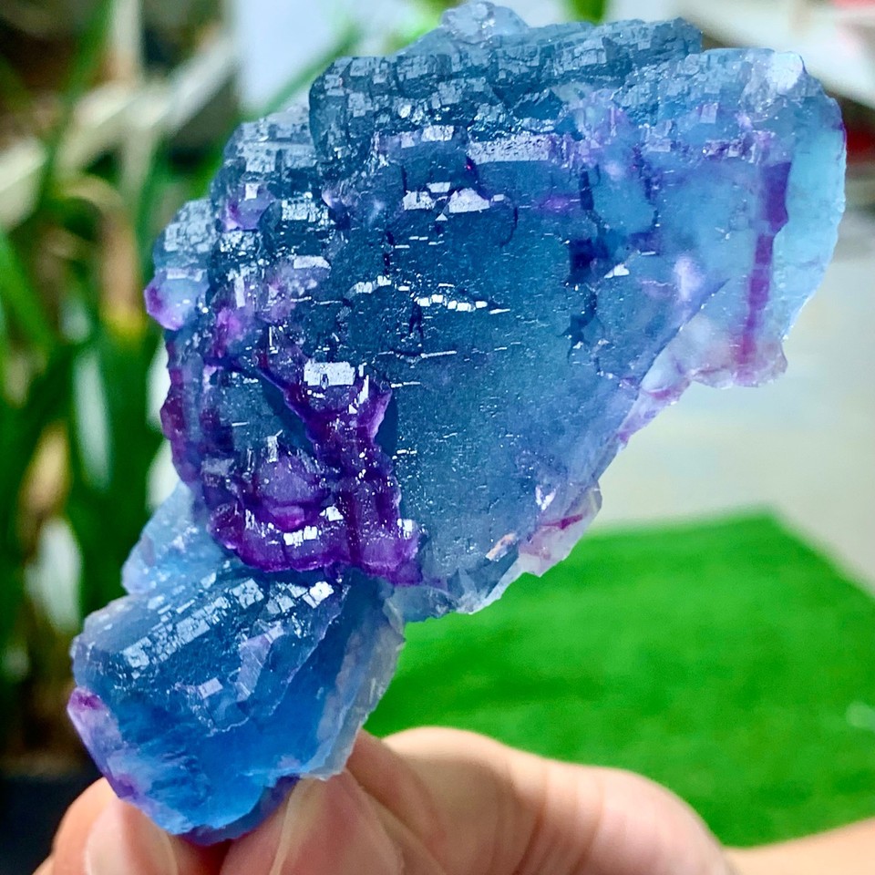 127G Rare Blue Green Purple cubic fluorite mineral crystal sample ...