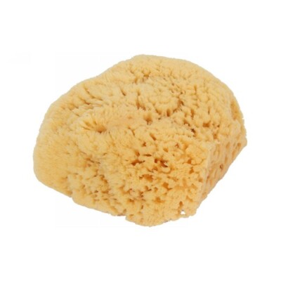 Natural Sea Sponge Bath-Shower Large 1 Count By Bass Brushes | eBay