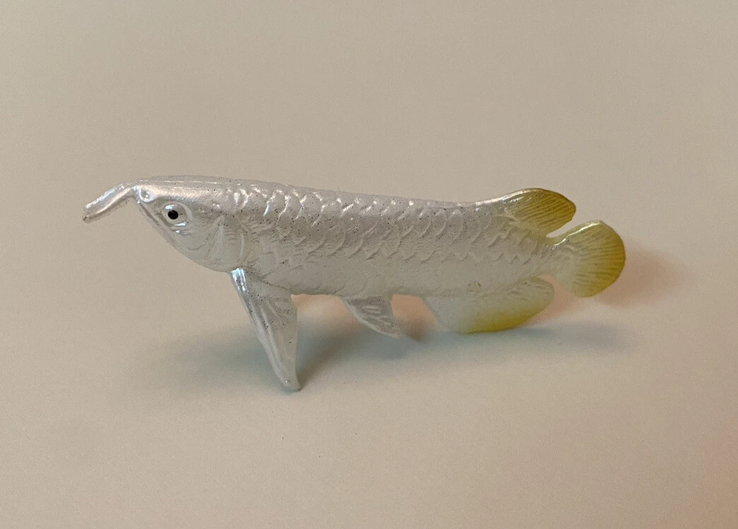 Silver Arowana Fish Price