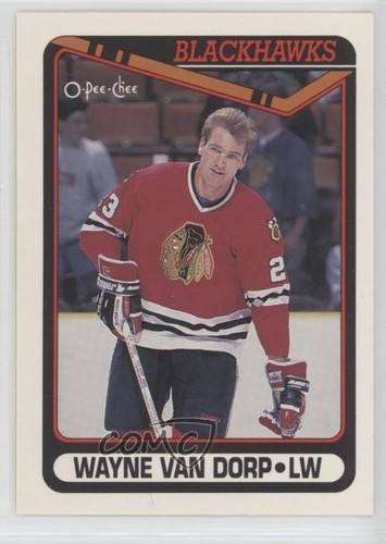 1990-91 O-Pee-Chee Wayne Van Dorp #527 Rookie RC | eBay