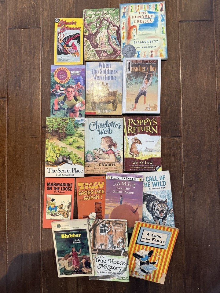 16 VTG Classic Chapter Comic Books Lot Marmaduke, Ziggy, Judy Blume, DC ...