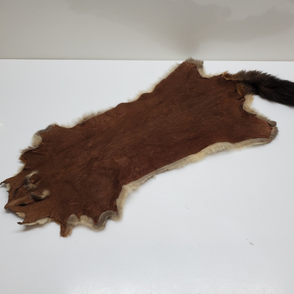 Lot of 2 Australian Possum Fur Pelts | eBay