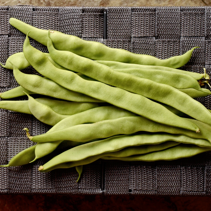 Italian Pole Bean Seeds Roma II Bean Seeds — Seeds 'n Such