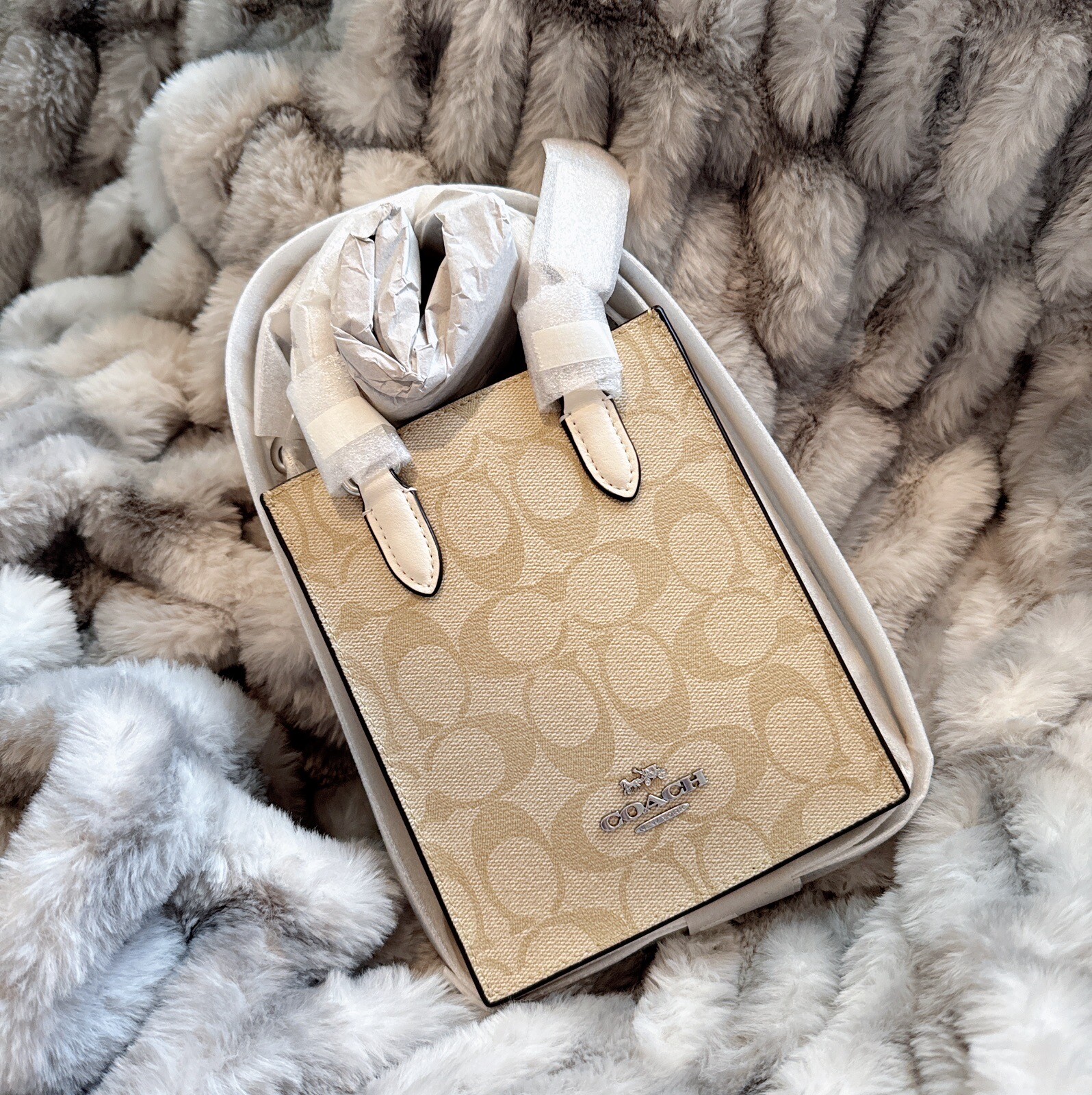 NWT Coach CJ494 North South Mini Tote In Signature Canvas IN LIGHT ...