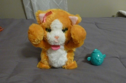 2013 FurReal Friends DAISY Peek-A-Boo Lil Big Paws Talking Meow Orange ...