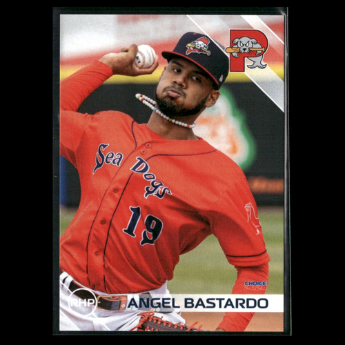 Angel Bastardo 2024 Portland Sea Dogs Team Set Baseball Card MLB NM | eBay