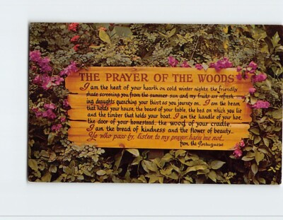 Postcard The Prayer Of The Woods Bordered With Bougainvillea | eBay