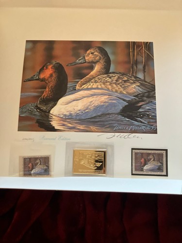 RW 60 federal Duck print Canvasbacks Diamond Edition Artist signed duck ...