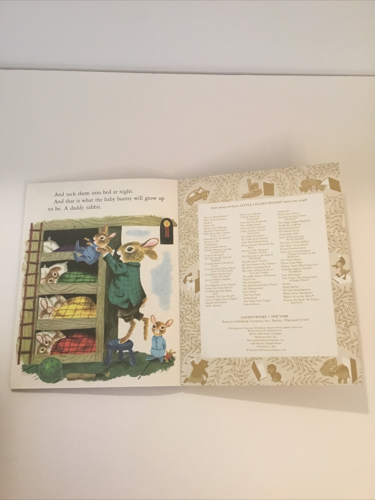 1955 1st Edition A LITTLE GOLDEN BOOK WHEN BUNNY GROWS UP PATSY Richard ...