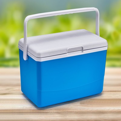 3L Insulated Portable Cooler with Handle Mini Freezer Fridge for Beach ...