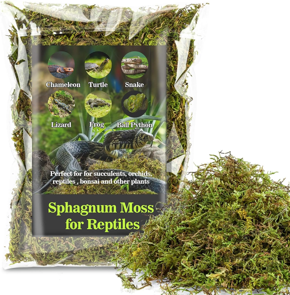 Sukh Sphagnum Moss for Reptiles - Terrarium Reptiles Moss Green Dried ...