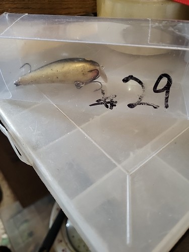 #7 Shallow Fat Rap Discontinued Gold & Black My #29 | eBay