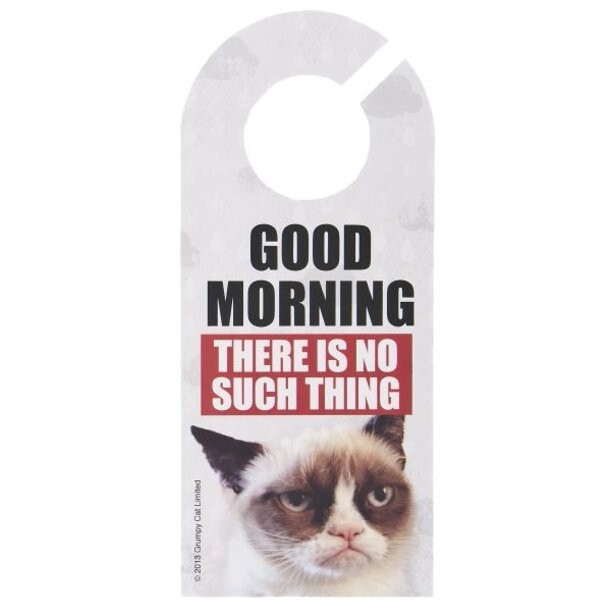 Grumpy Cat Good Morning 50+ Funny Good Morning Memes To Greet The Day