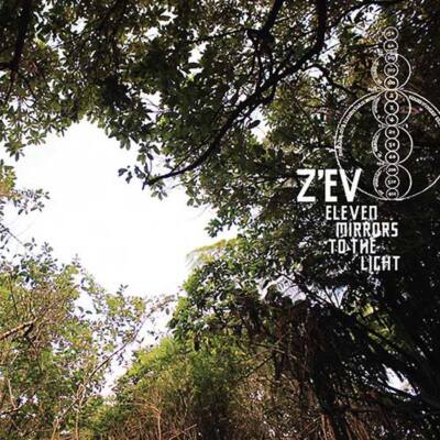 Z'ev Eleven Mirrors to the Light Music CDs New 641871744589| eBay