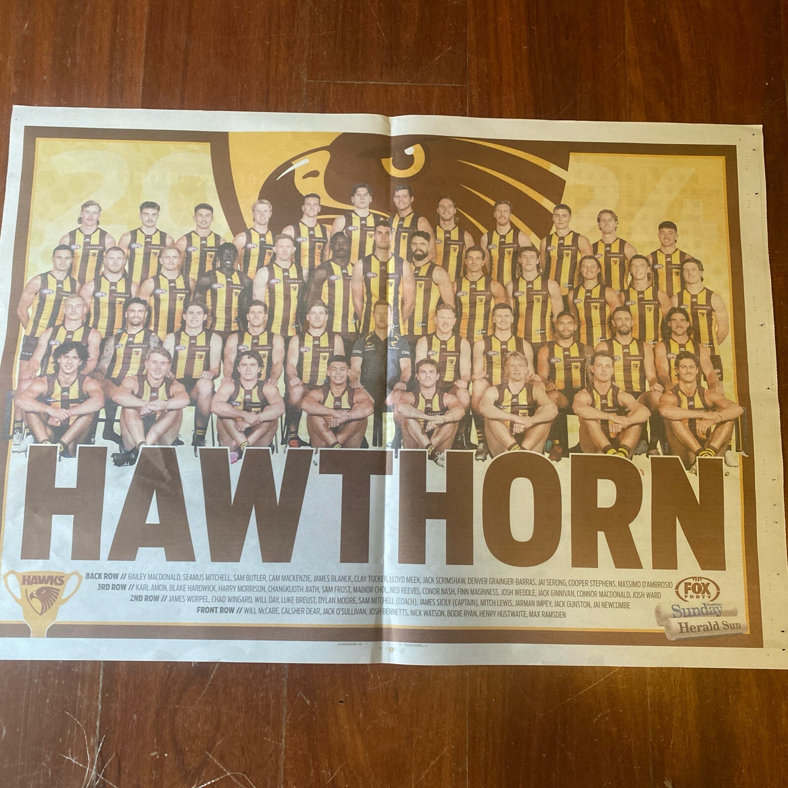 3 X Hawthorn Hawks 2025 Finalist, 2025 &2024 AFL Team Herald Sun ...