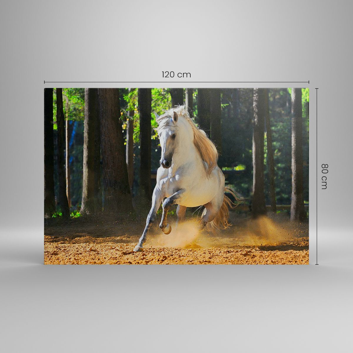 Impression sur Toile 120x80cm Tableaux Image Poussi?re motions cheval ...