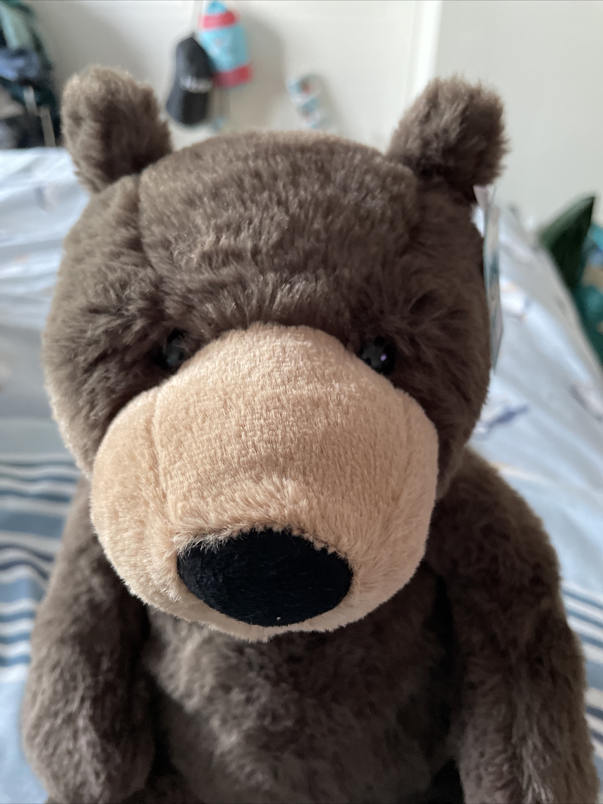 Gorgeous And Rare Jellycat Knox Teddy Bear Very Soft Cuddly Plush Toy ...