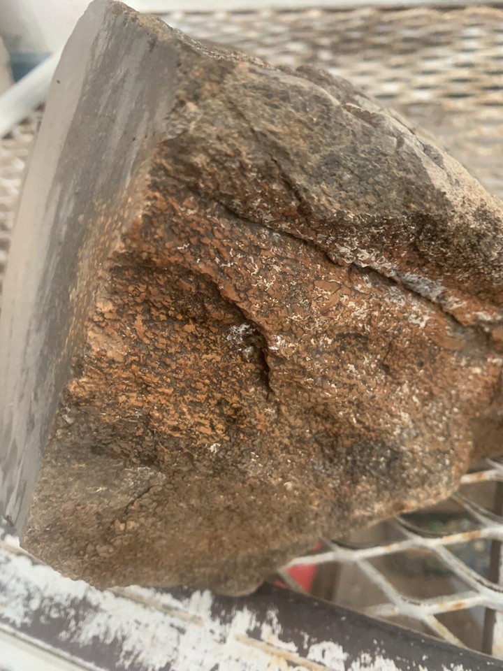 Agatized Dinosaur Gem Bone Fossil Rough 11 Lb 3.7 Oz | eBay