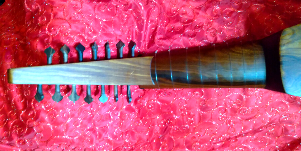 Renaissance 8 Coarse Flatback Tenor Lute by Pick & Boch, Extra Strings ...