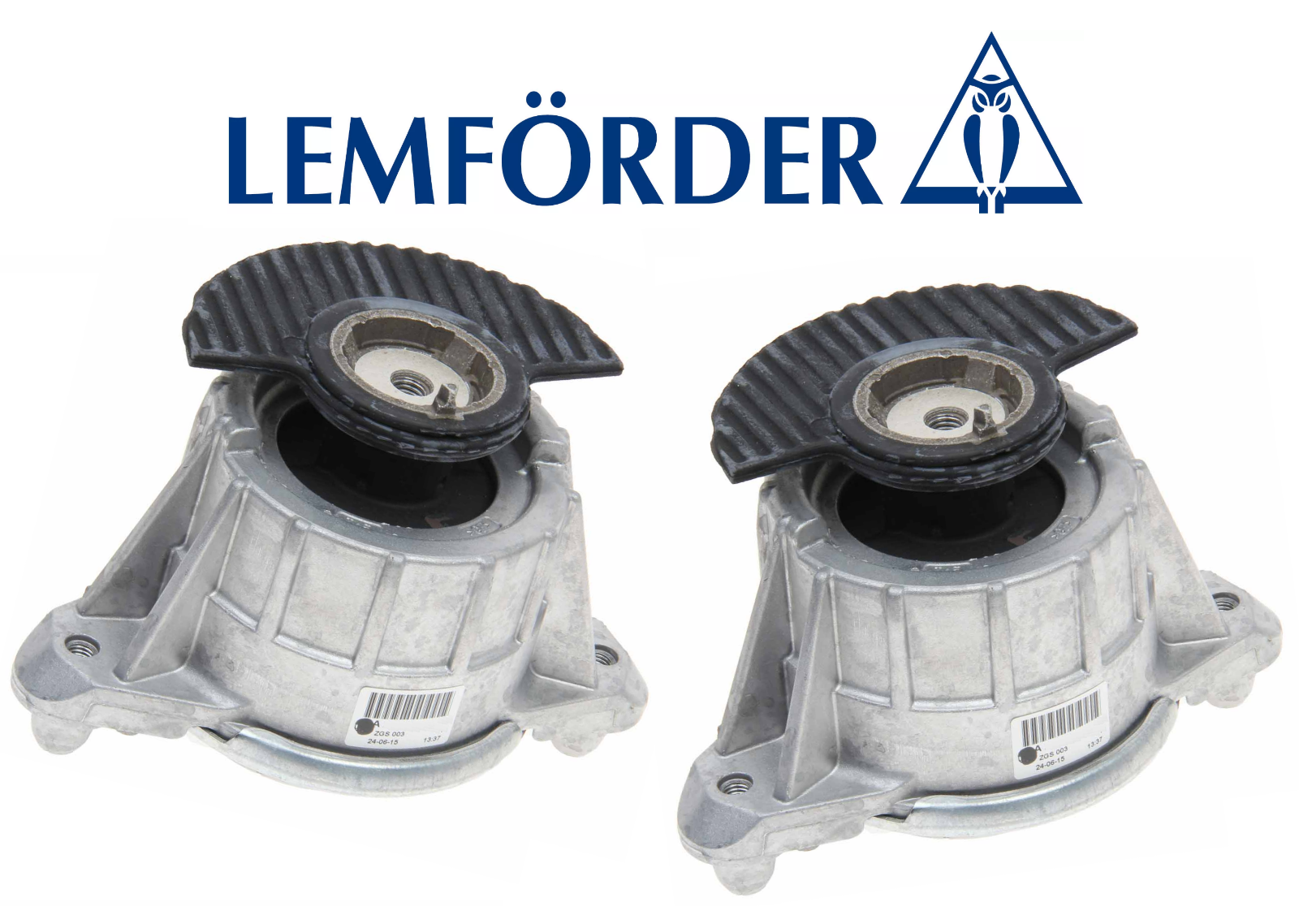OEM Engine Motor Mount Hydraulic Lt & Rt 2pcs Lemforder for Mercedes C ...