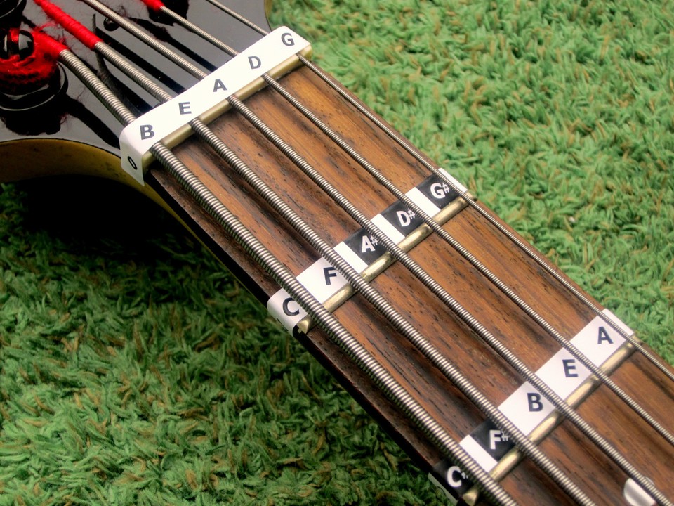 5-STRING BASS GUITAR FRETBOARD NOTE LABELS Learn Fret Stickers + Online ...