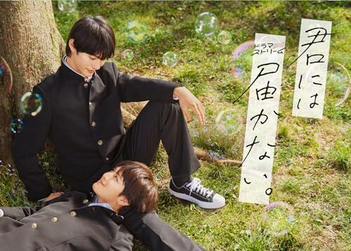 I Cannot Reach You DVD-BOX Japanese BL Drama Kimi ni wa Todokanai ...