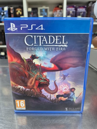 PS4 - Citadel Forged with Fire - Region Free | eBay UK