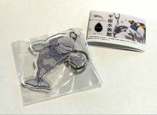 Nagoya Port Aquarium Flat Beluga Keychain Acrylic | eBay
