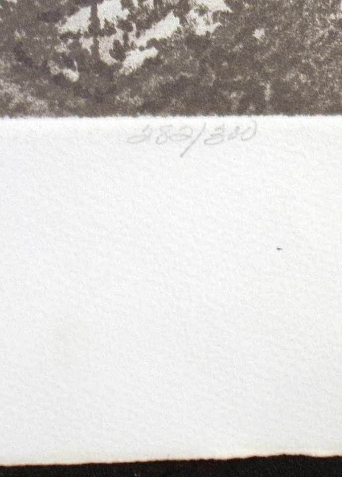 Catherine Ruane O'Connor "Olympia" Signed Numbered Etching pine trees ...