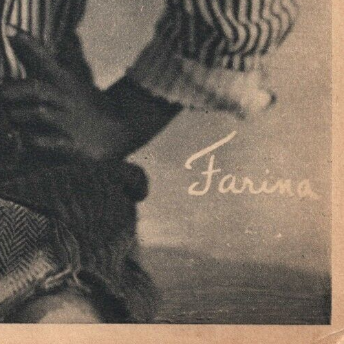 Farina Hal Roach Our Gang Little Rascals Allen Hoskins 5x7” Photo ...