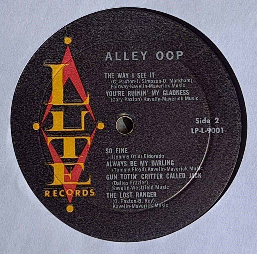 vintage 1960 vinyl record Hollywood Argyles Lute 9001 33 lp Gary S ...