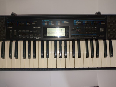 Casio CTK-2300 61 Keys Built In Speaker Portable Electronic Keyboard ...
