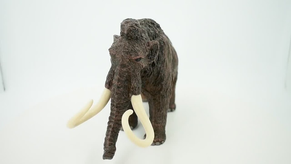 Wooly Mammoth, Prehistoric Realistic Toy Figure, Model, Replica, 7 ...