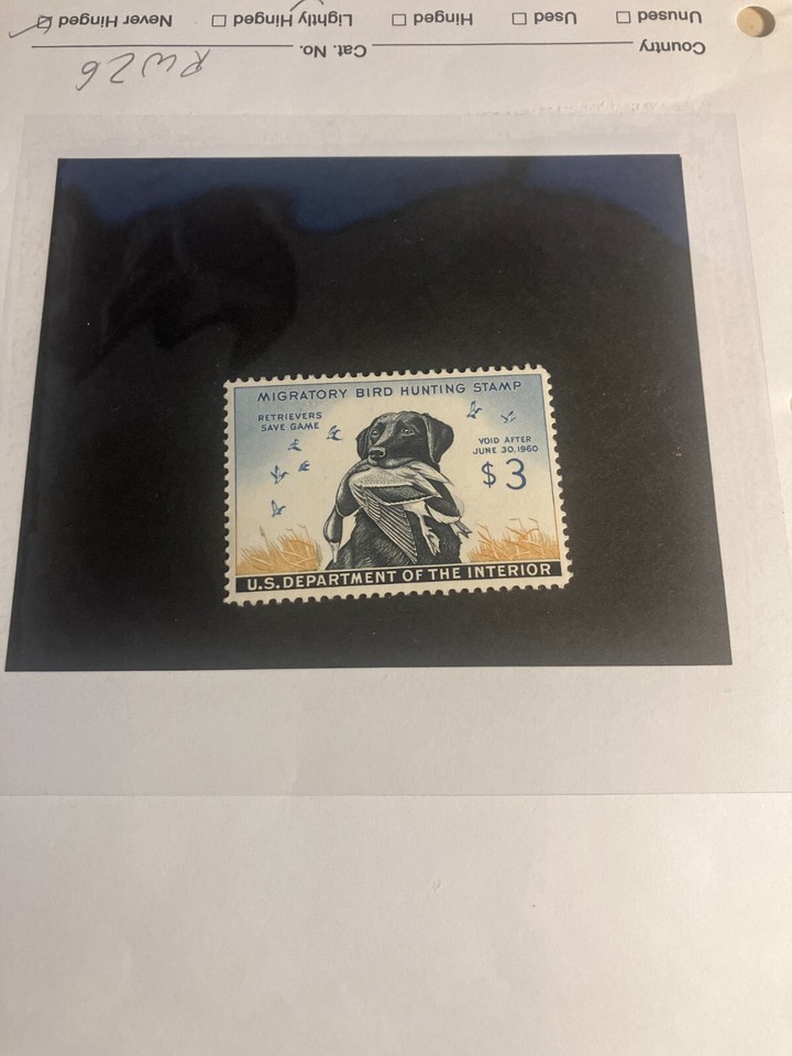 RW26 1959 - Federal Duck Stamp Print **MAYNARD REECE** 1st Edition w/ 2 ...