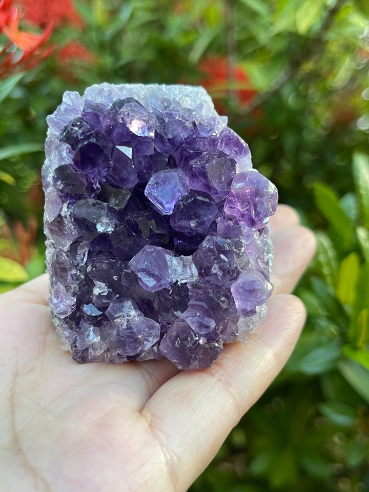 Small Uruguayan Deep Purple Amethyst Cluster, Amethyst Geode, Wholesale ...