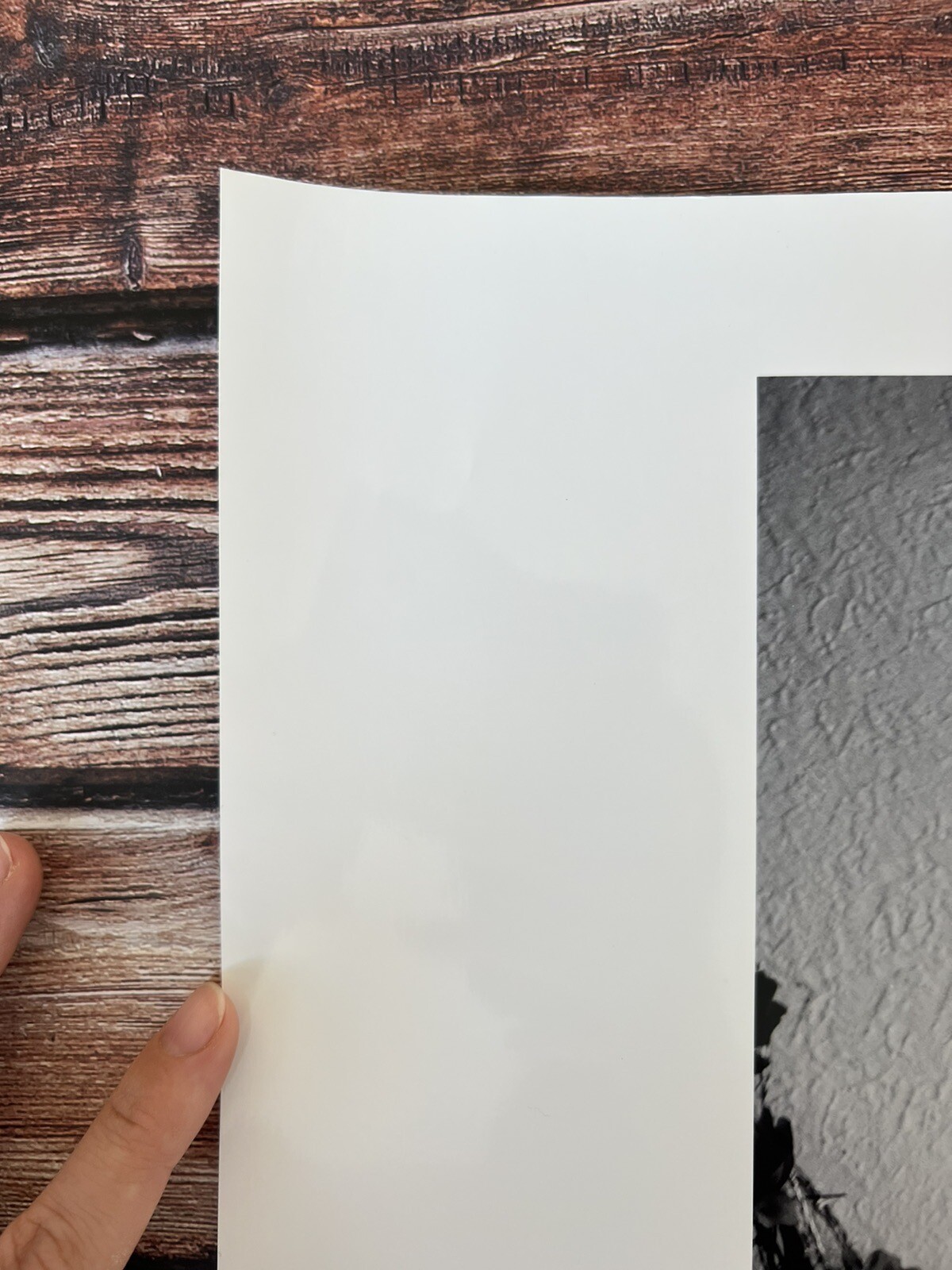 Ian Rilen Limited Ed Large Print 3/3 Rose Tattoo, X (Australia) Band Of ...