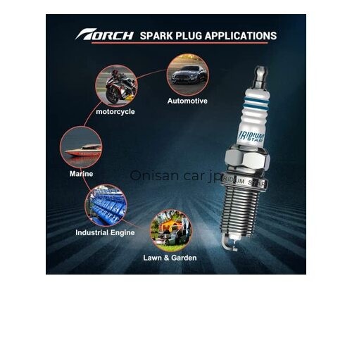 TORCH B8RC Standard Plug Separate Type with Terminal 1 Piece Replaces ...