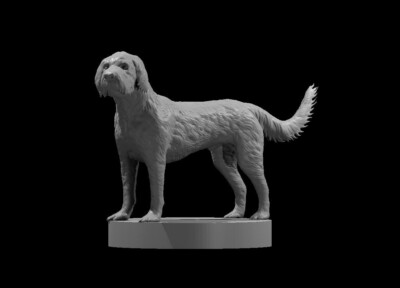 Labradoodle Cockapoo Dog FamiliarMonster Manual 28mm Scale DND D&D ...
