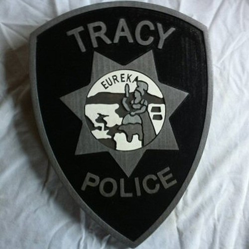 Police Tracy 3D routed award patch plaque trophy wood sign Custom | eBay