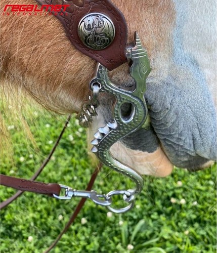 Fancy Dragon Horse Bit in Brass or Silver | eBay